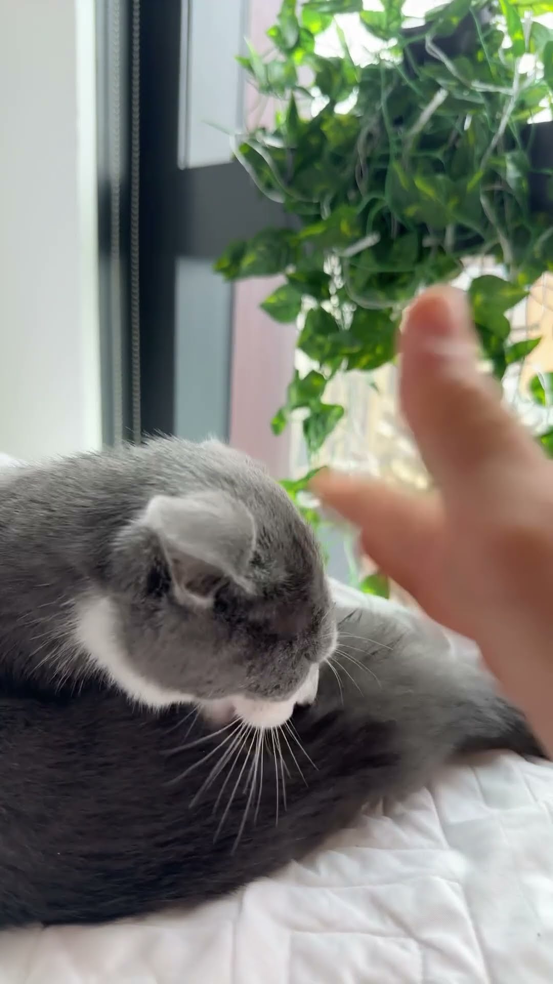 July 28, 2024 - YouTube