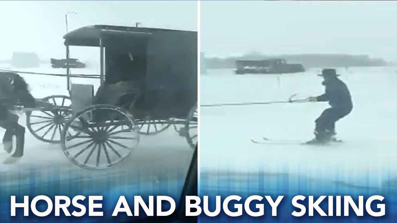 Man on skis pulled by horse and buggy - YouTube