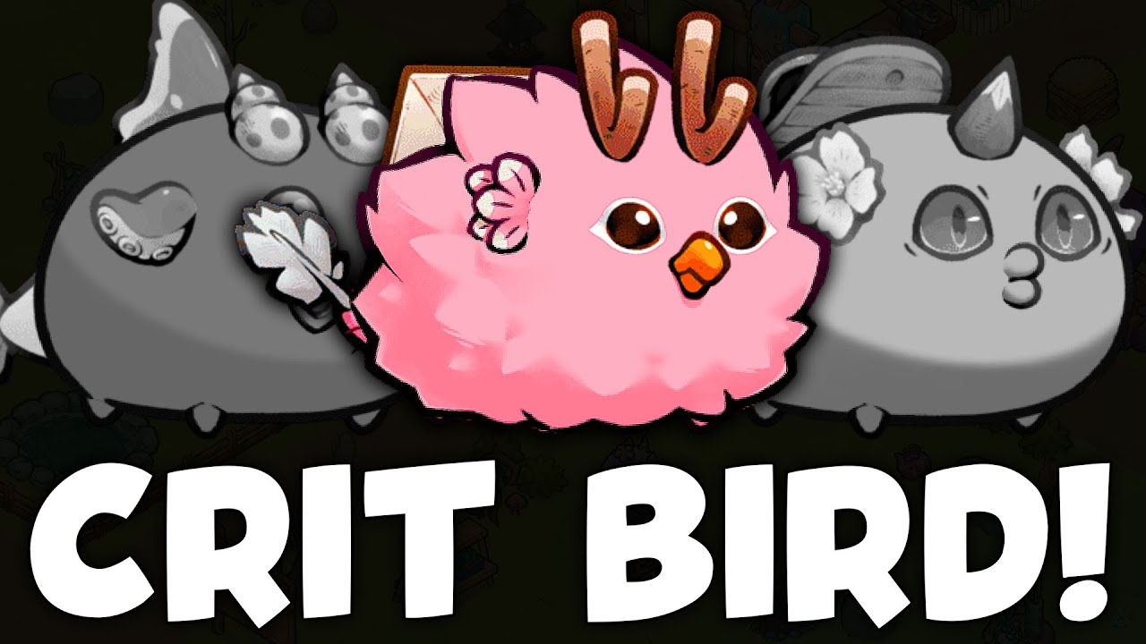 𝘾𝙍𝙄𝙏𝙄𝘾𝘼𝙇 𝘽𝙄𝙍𝘿 | Axie Classic 2025 | Season 8 - YouTube