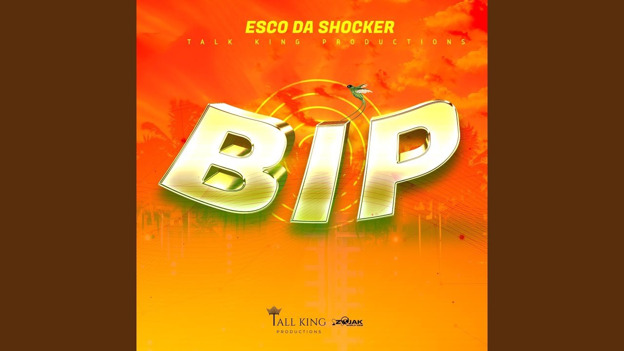 BIP - YouTube