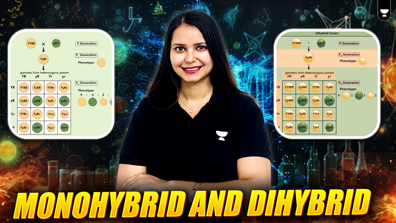 Class 10 Biology - Monohybrid and Dihybrid Crosses | Kajal mam - YouTube
