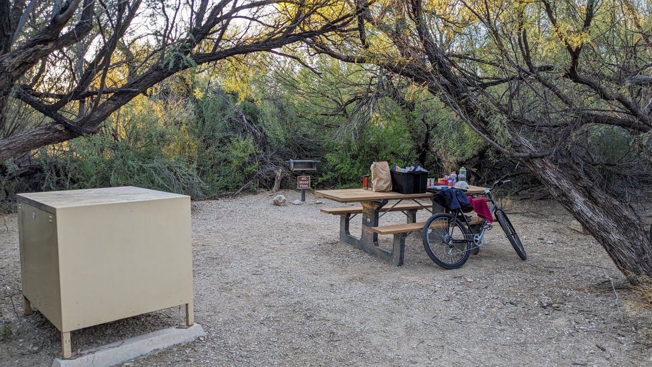 A Tour of the Rio Grande Village Campground in Big Bend National Park ...