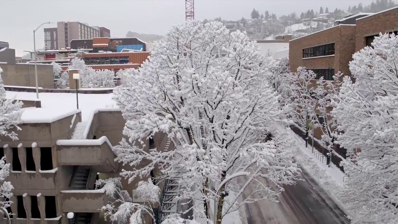 Biggest snowstorm in years blankets PSU campus:: PSU Snow Day 1/11/2017 ...