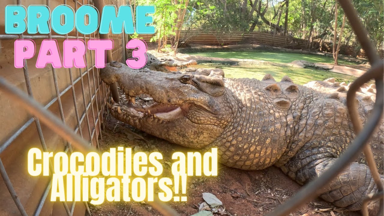 BROOME - PART 3- CROCODILE FARM - YouTube