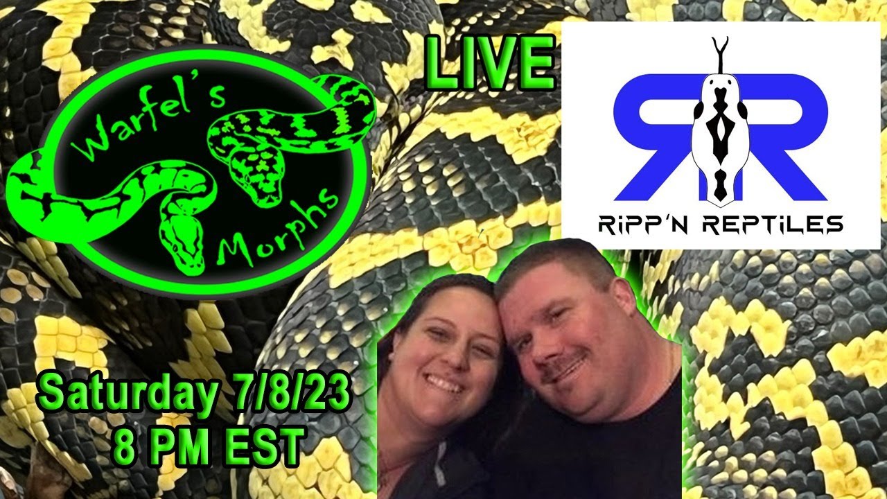 S2-Ep.28: Inside the coils W/ TJ & Greg of Ripp'n Reptiles - YouTube