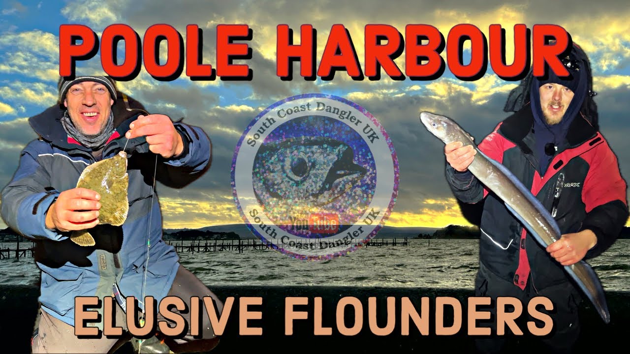 POOLE HARBOUR Flounder Fishing - Fishing For The Elusive Flounder - Sea ...