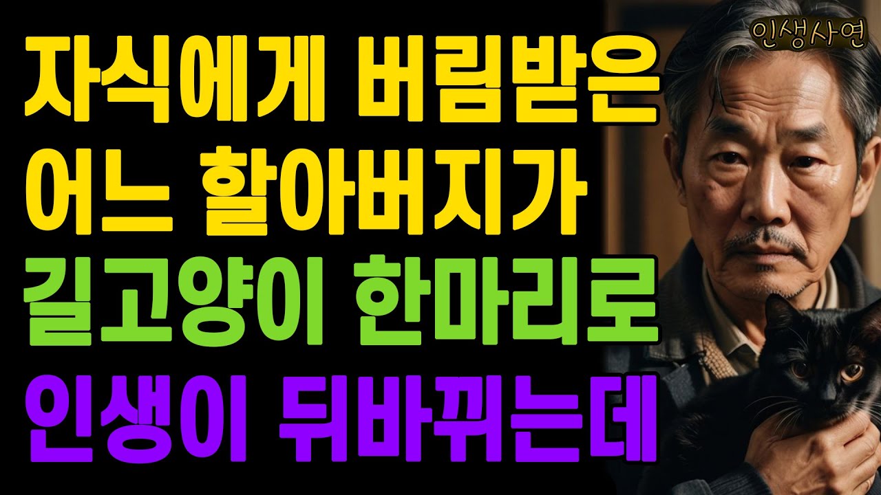 자식에게 버림받은 어느 할아버지가 길고양이 한 마리로 인생이 뒤바뀌는데 노년의 삶의 지혜 행복한 노후생활 부모자식갈등 사연