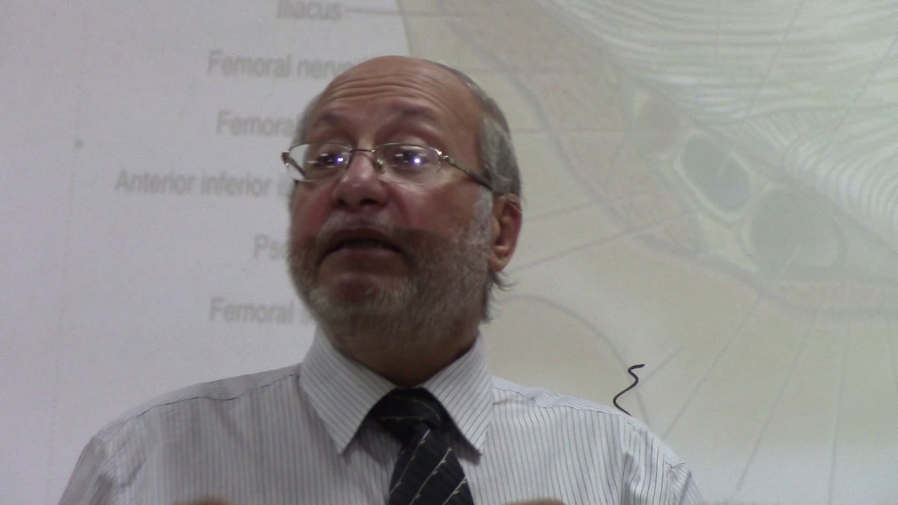 GIT module 8 ( Inguinal ligament ) , by Dr. Wahdan - YouTube