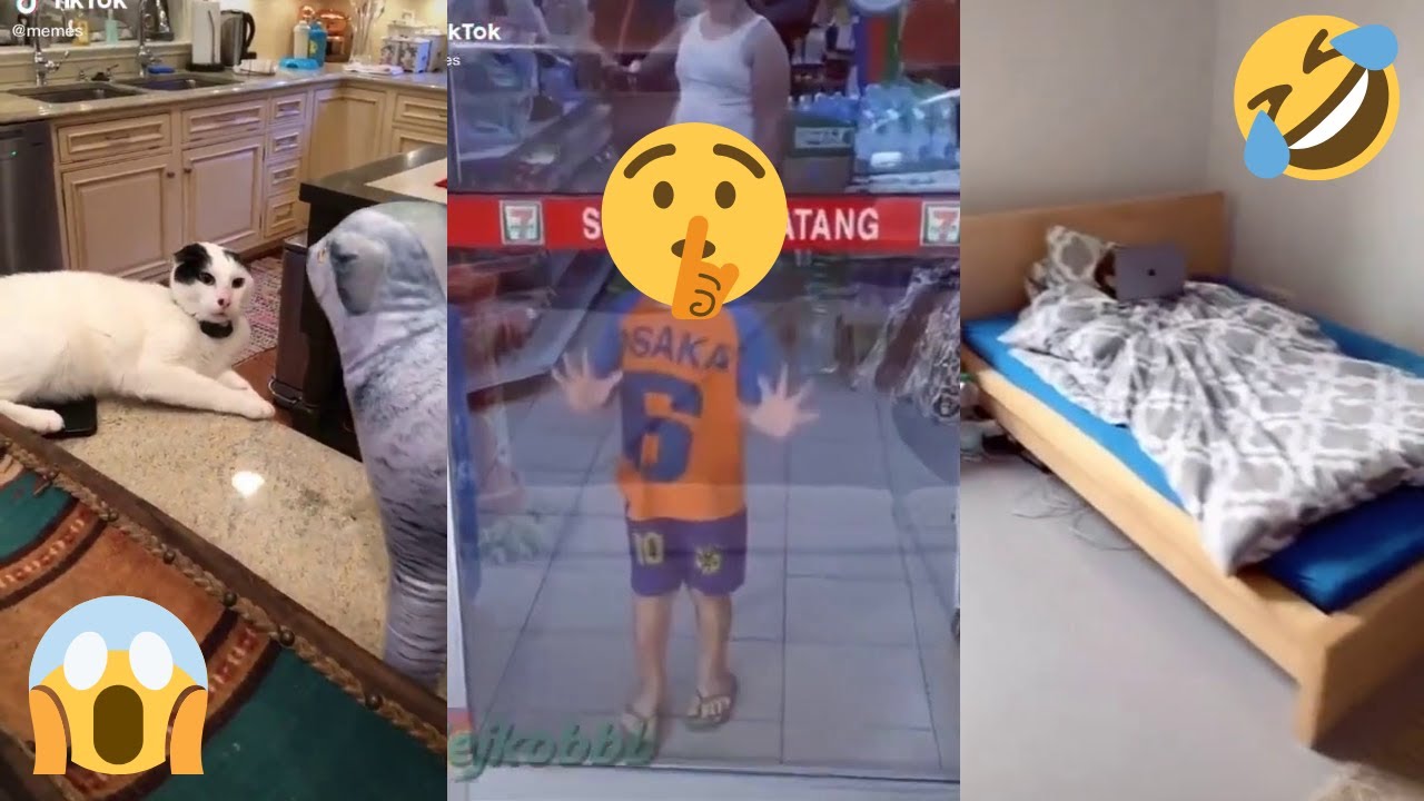 Best TikTok Memes Compilation - February - YouTube