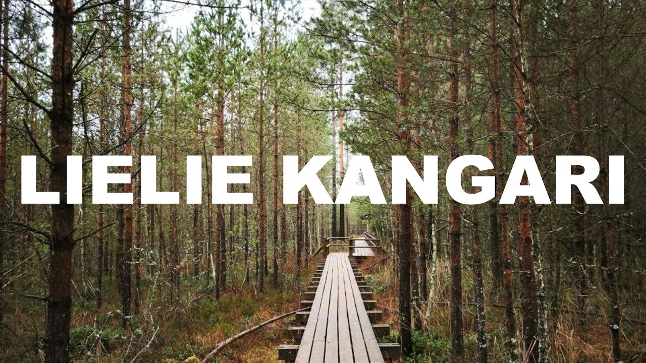 Lielie Kangari — самый большой хребет Латвии - YouTube