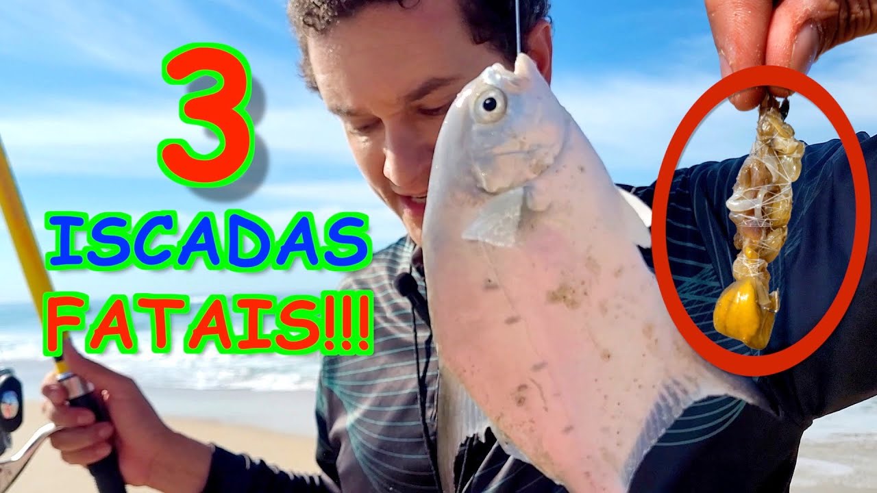 ESSAS 3 ISCAS são INFALÍVEIS para os PAMPOS!!! - Pesca de Praia - YouTube