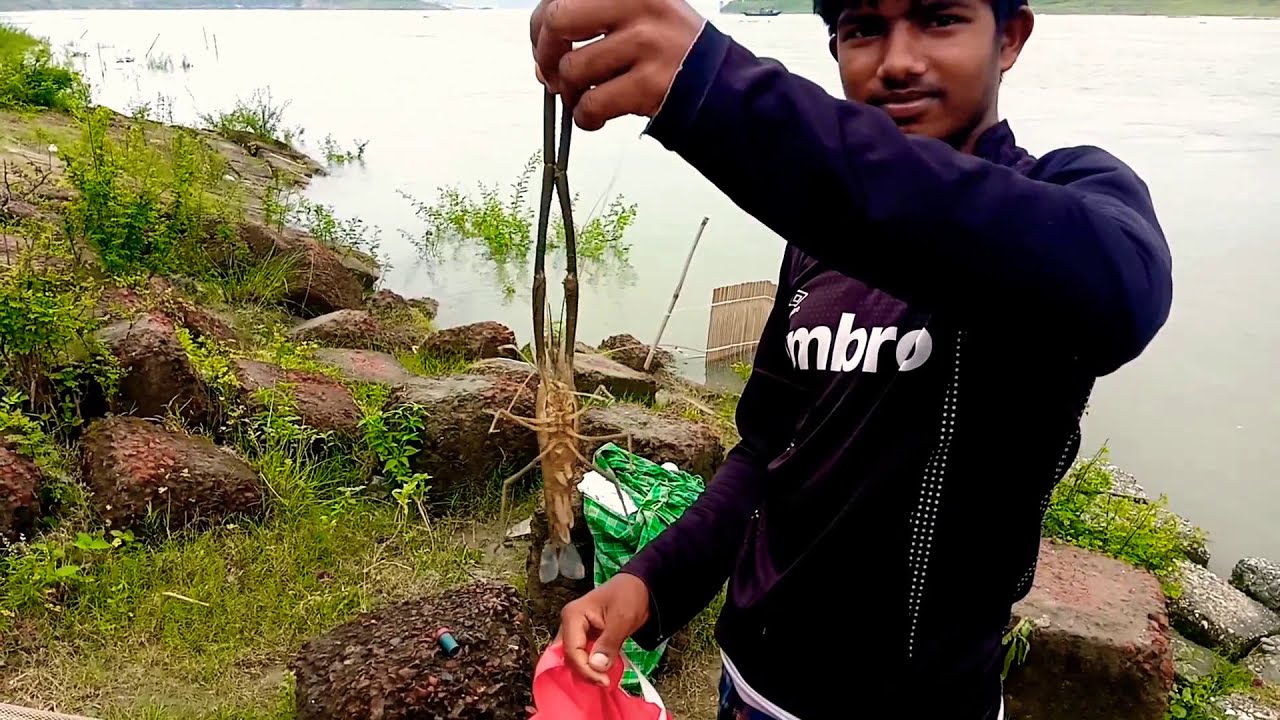 Awesome Fishing videos | Traditional Fish hunting | Best fishing videos ...