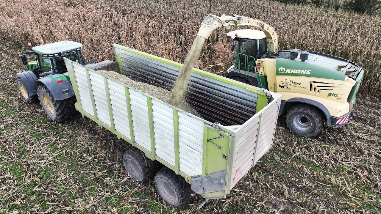 Mais Silage 2023 | Krone Big X 680 + John Deere | Corn Silage in ...