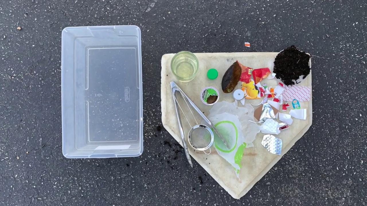 STEM: Can You Undo Water Pollution? - YouTube