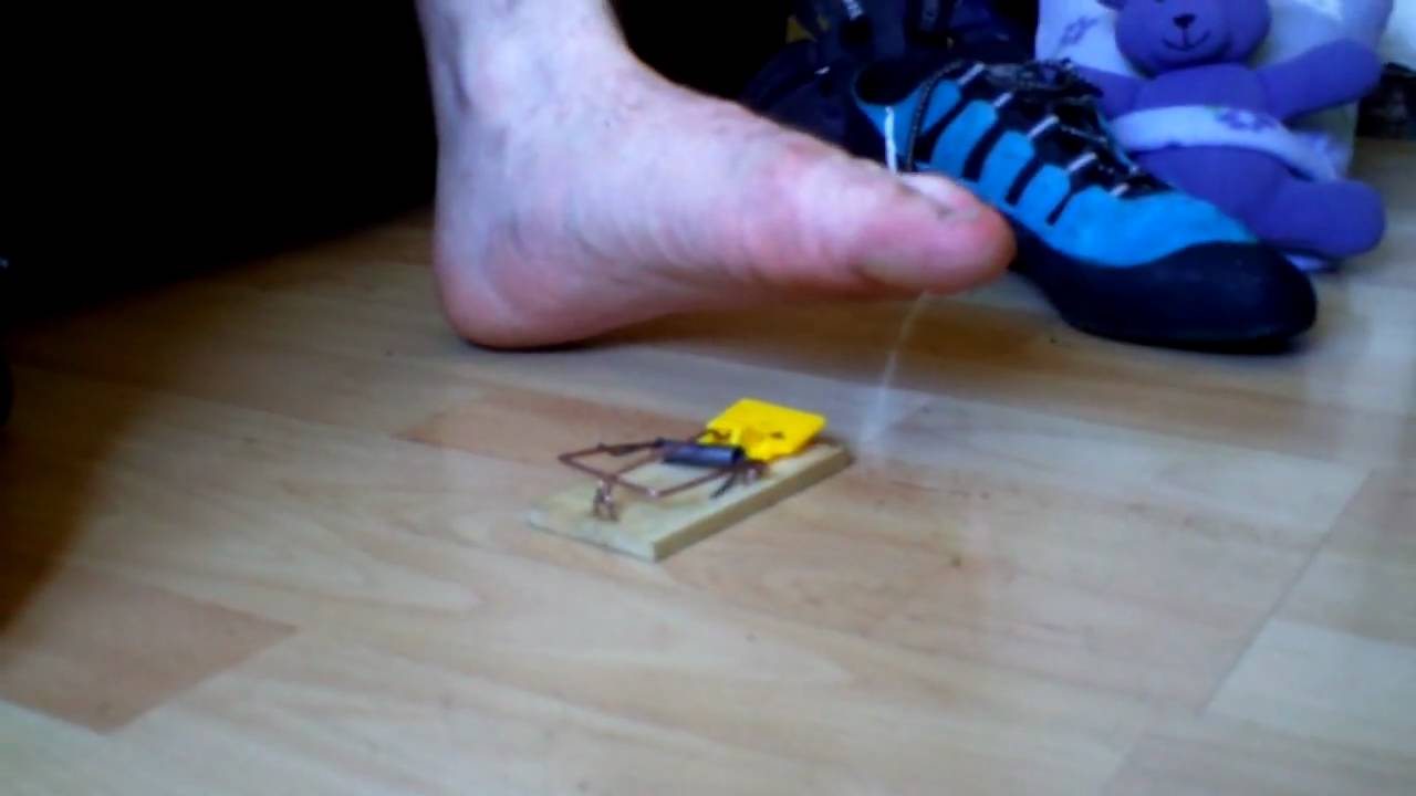 Toe in mouse trap - YouTube
