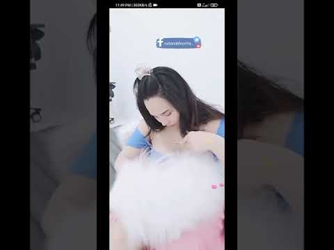 Palmiier Bigo Thai beauty 8-23