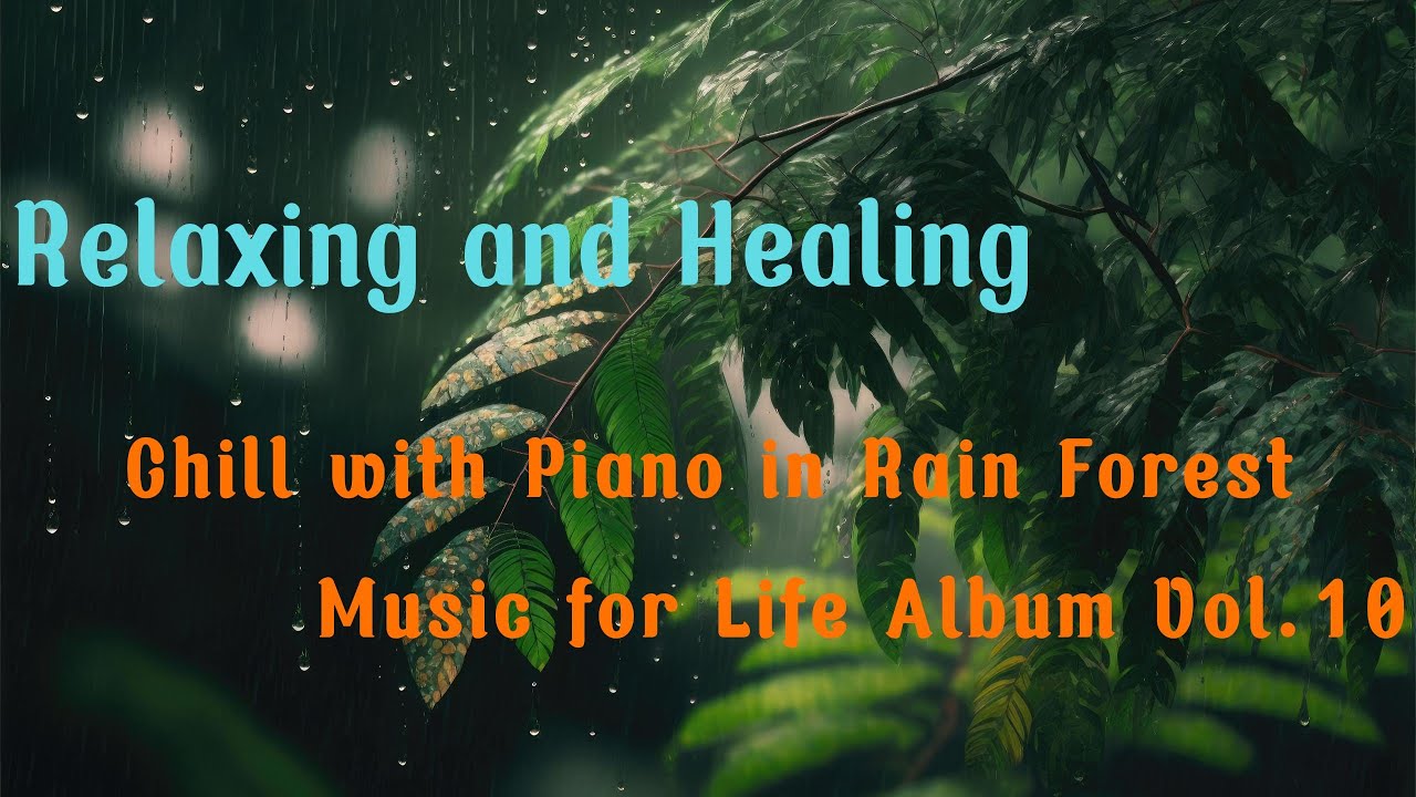 Piano Relaxing - Chill in Rain Forest - Music for Life Vol.10 - YouTube