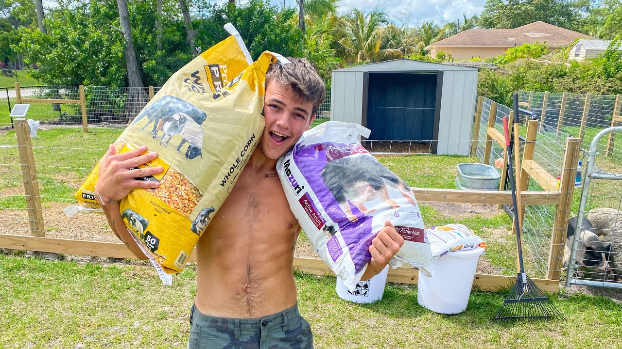 FEEDING My BACKYARD FARM ANIMALS!! - YouTube