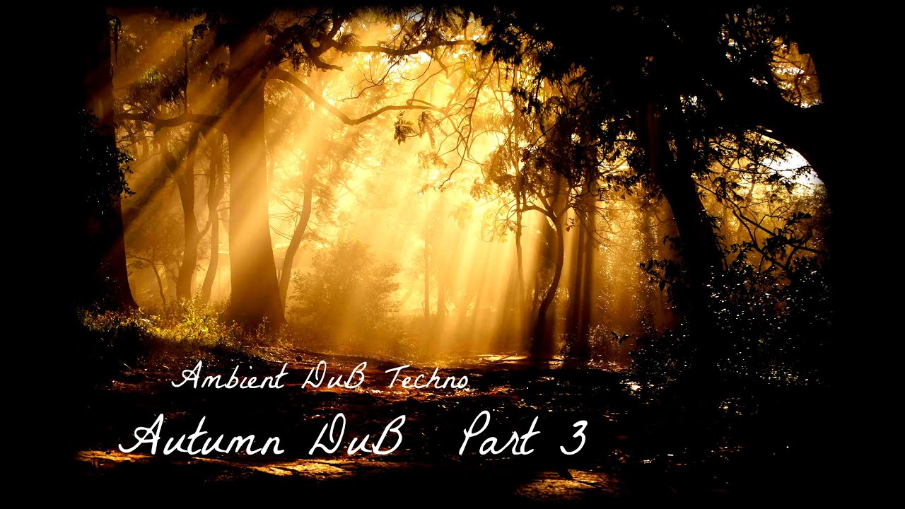 Liquid Fraction - Autumn DuB - (Part 3) - Deep Ambient DuB Techno Mix ...