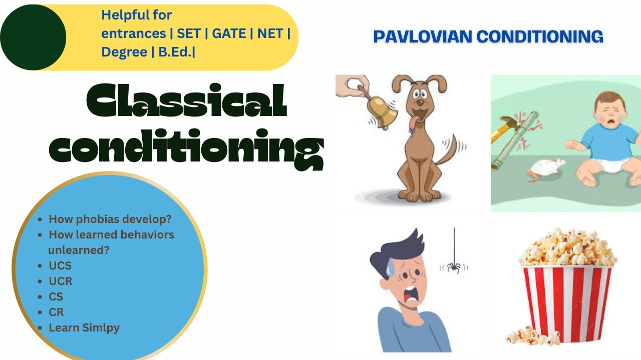 CLASSICAL CONDITIONING | Psychology of Learning | LEARNING THEORY ...