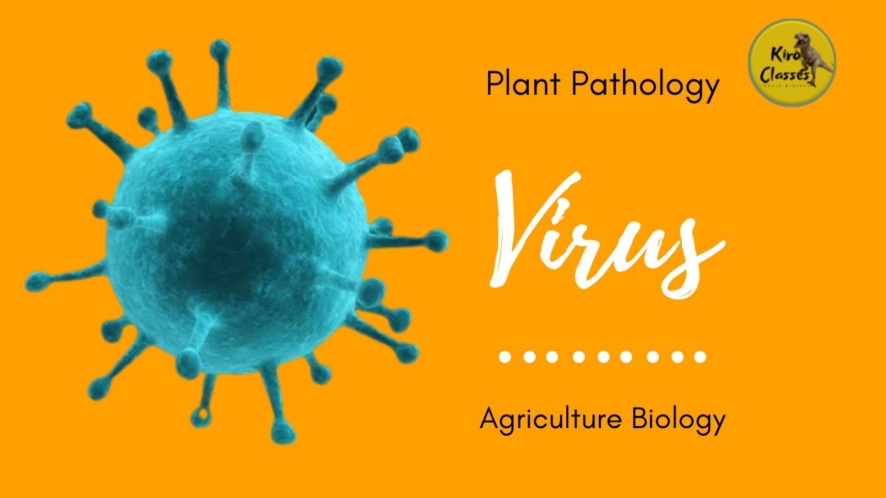 Virus Structure | Plant Pathology | Viral Plant Diseases | Viral Crop ...