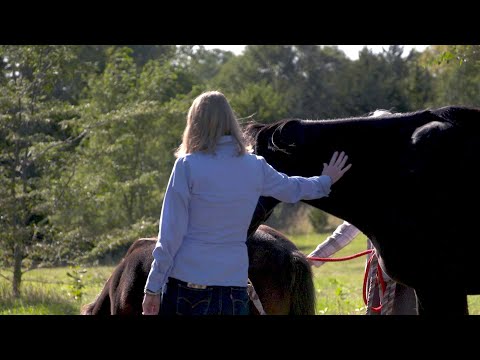 The Animal Whisperer and More | Nebraska Stories | Nebraska Public Media