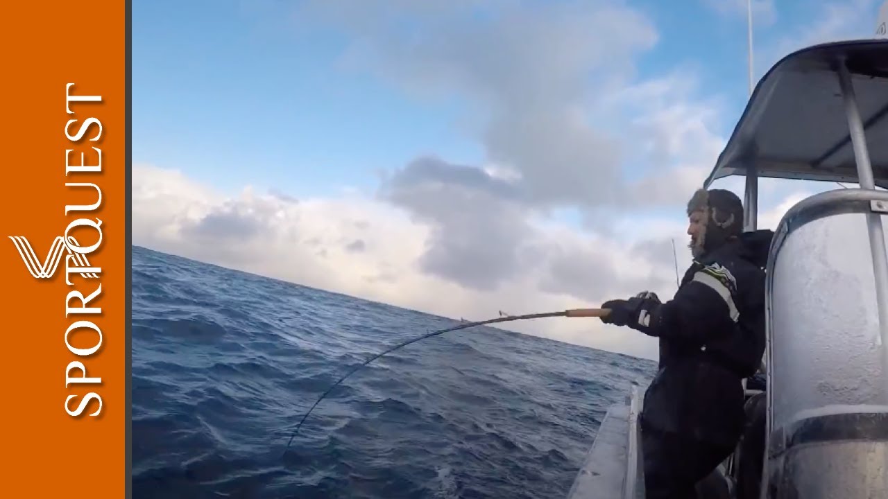 Catching Monster Skrei Cod For The First Time in Norway 🐟 - YouTube