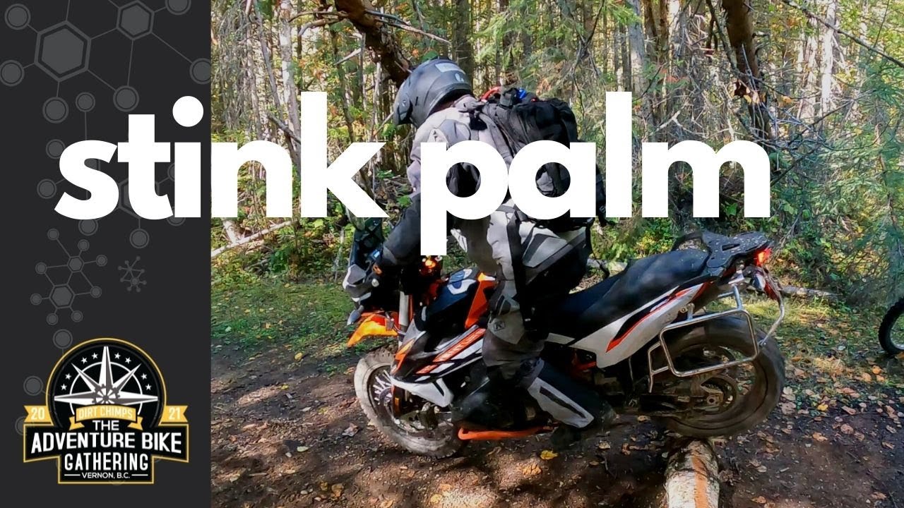 2021 ADV Gathering E01 Stink Palm - YouTube