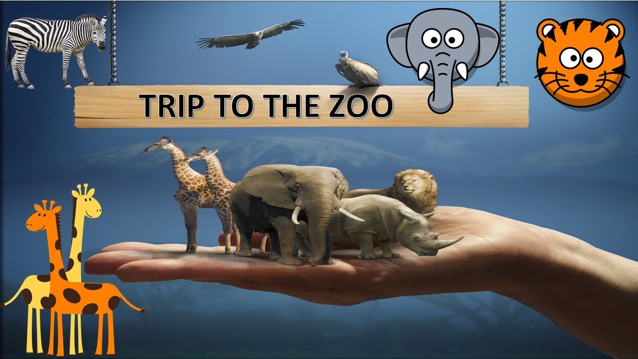 jeddah asfan zoo | asfan zoo jeddah | jeddah zoo | jeddah vlogs | Open ...