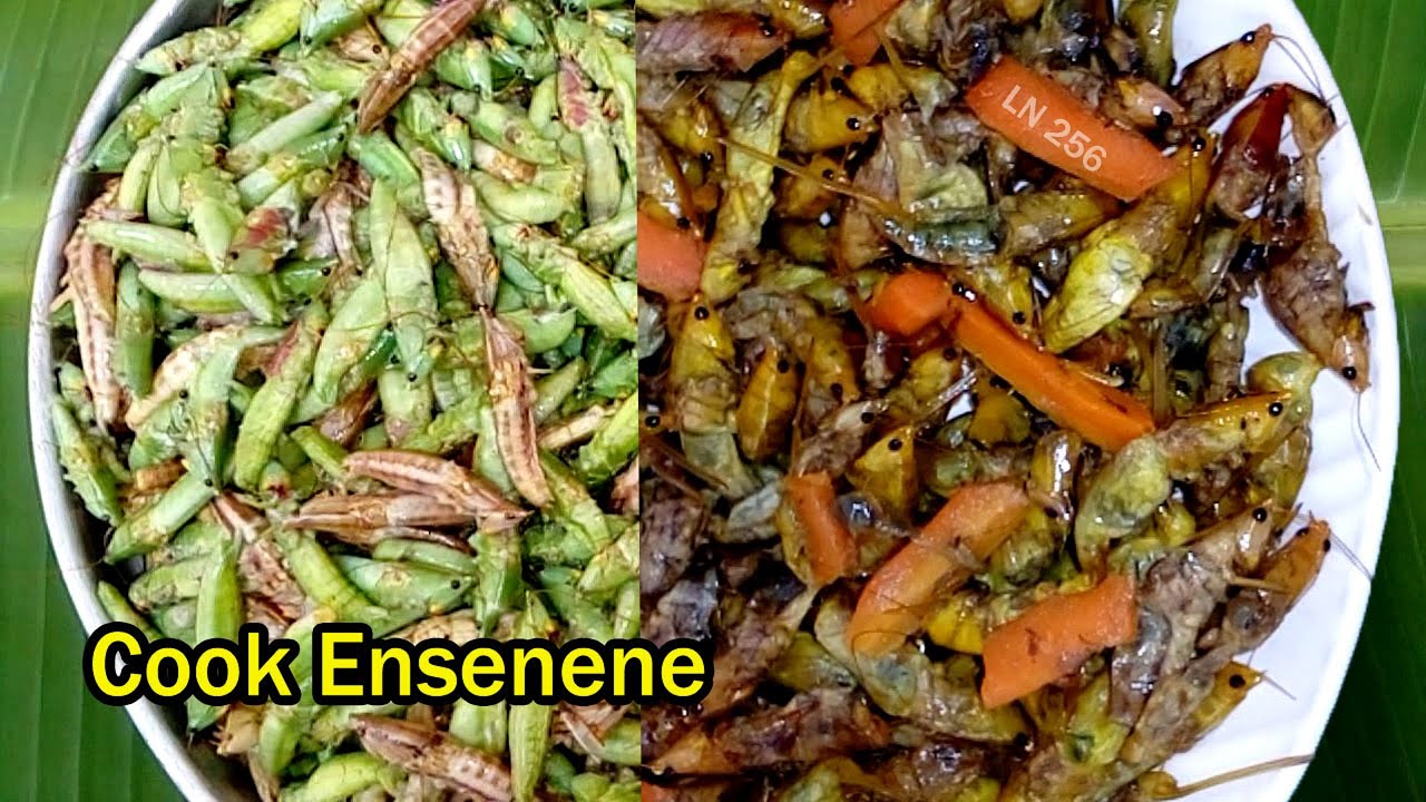 Tuyige Okusiika Ensenene How to Cook Grasshoppers Zigenda Kuwomela ...