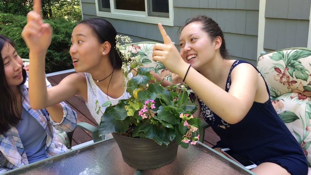 Disparition des abeilles: Charlotte Gu, Julia Yan, Katie Sidebotham ...