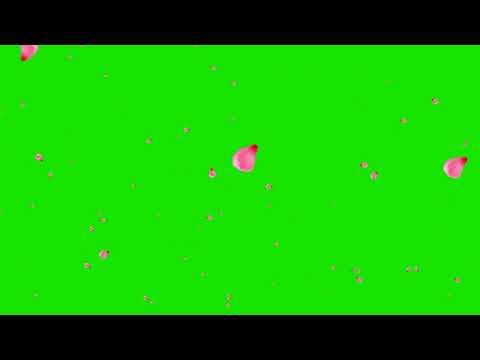 New green screen pink petals background particles animation video ...