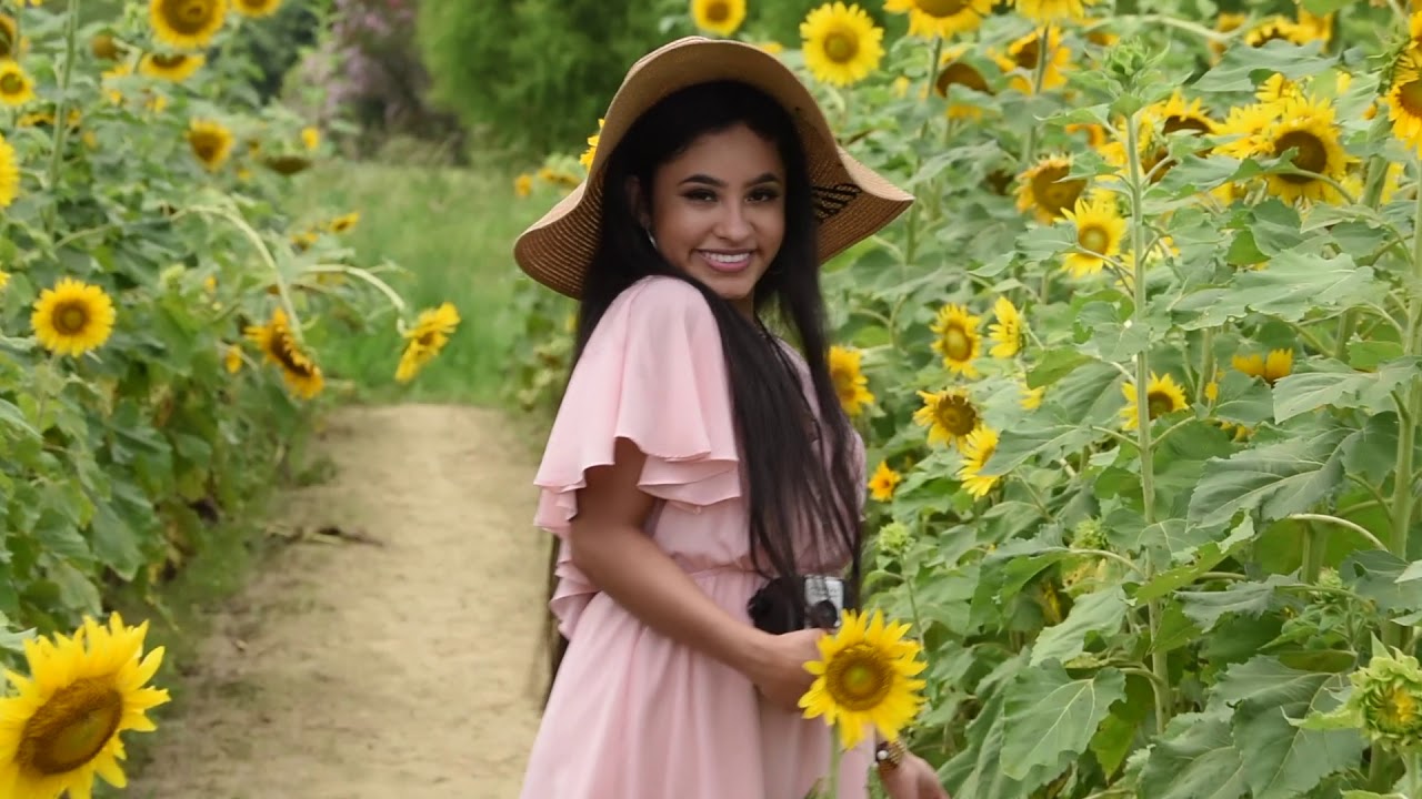 PROMO SUNFLOWER 2 - YouTube