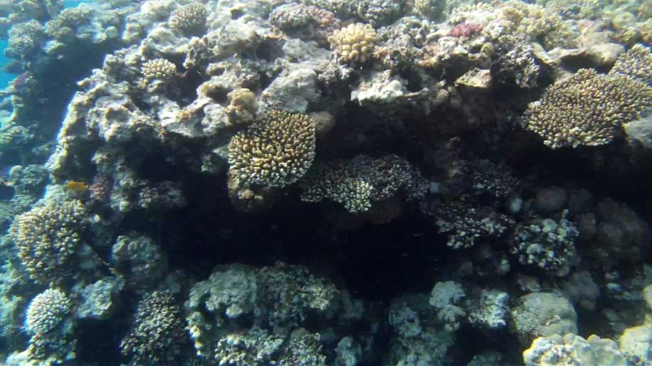 Dahab Lighthouse - YouTube