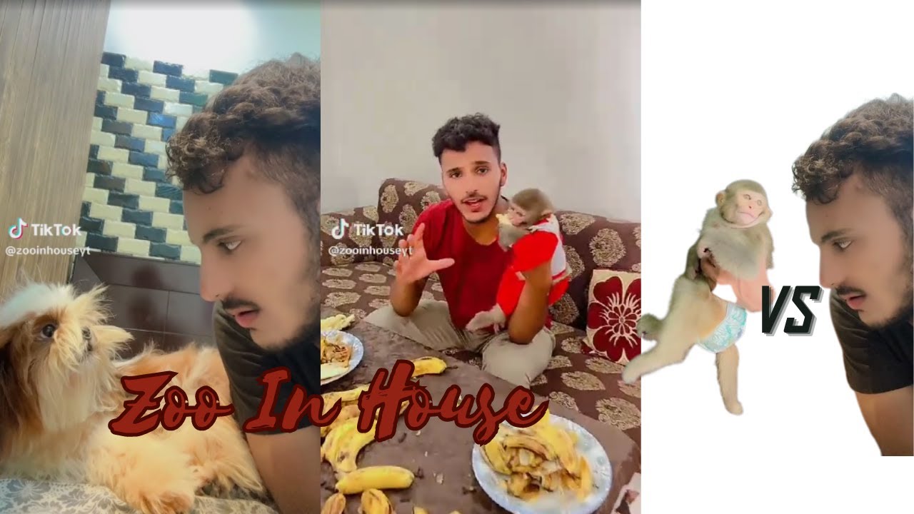 Zoo in House Roasting || Boy Child Monkey || Boy Kiss Dog || Roast By ...