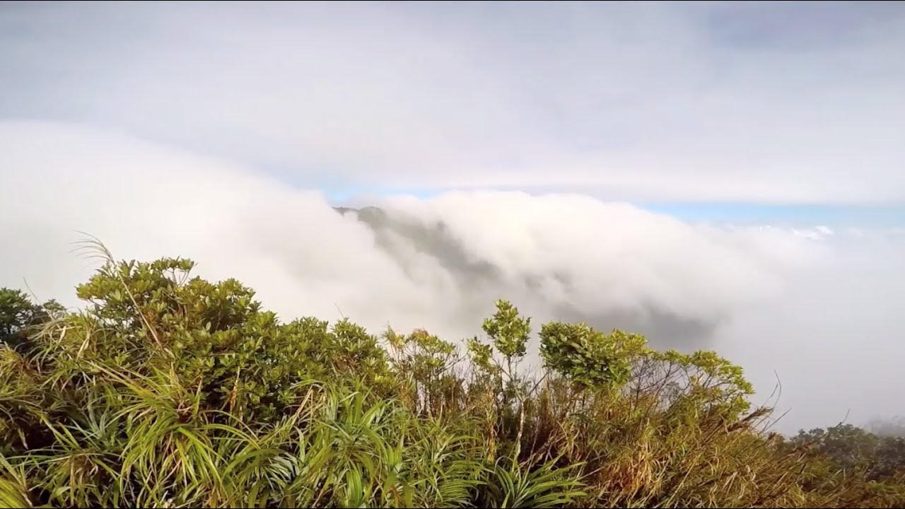 Mt. Isarog (Patag-Patag Trail) - YouTube