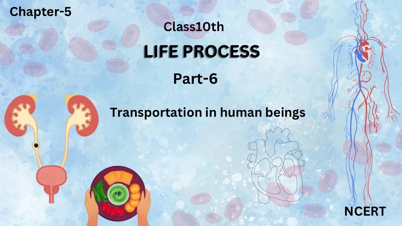 Life process || part-6 || Class10th ||CBSE - YouTube