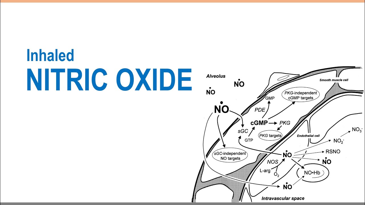 iNO (Inhaled Nitric Oxide) - YouTube