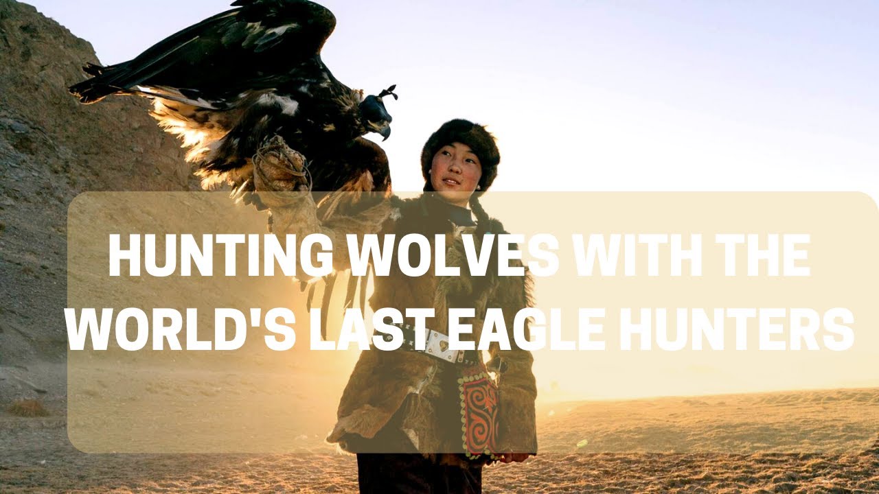 WOLVES HUNTING WITH THE LAST EAGLE HUNTERS IN THE WORLD - YouTube