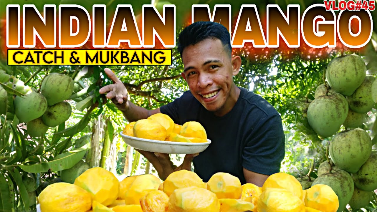 Mukbang Indian Mango - YouTube