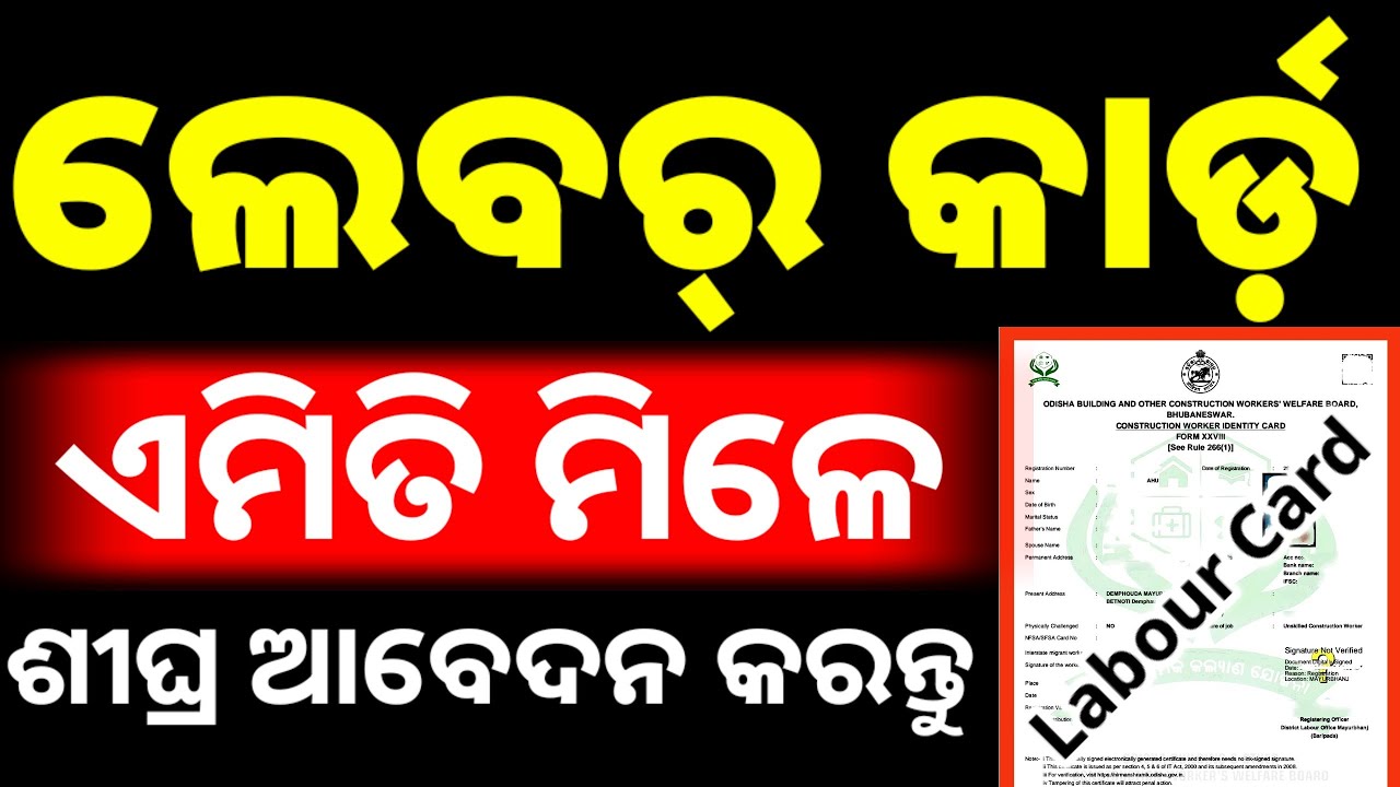 labour card apply process 2024 in odia || odisha labour card online ...