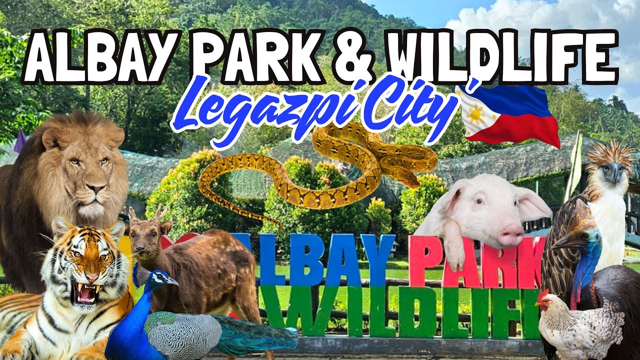 Albay Park & Wildlife Zoo | 4K Full Walkthrough | Legazpi City, Philippines 🇵🇭 - YouTube