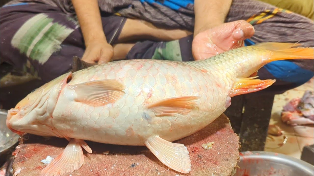 Amazing Cutting Skills | Big Carp Fish Cutting By Expert Fish Cutter ...