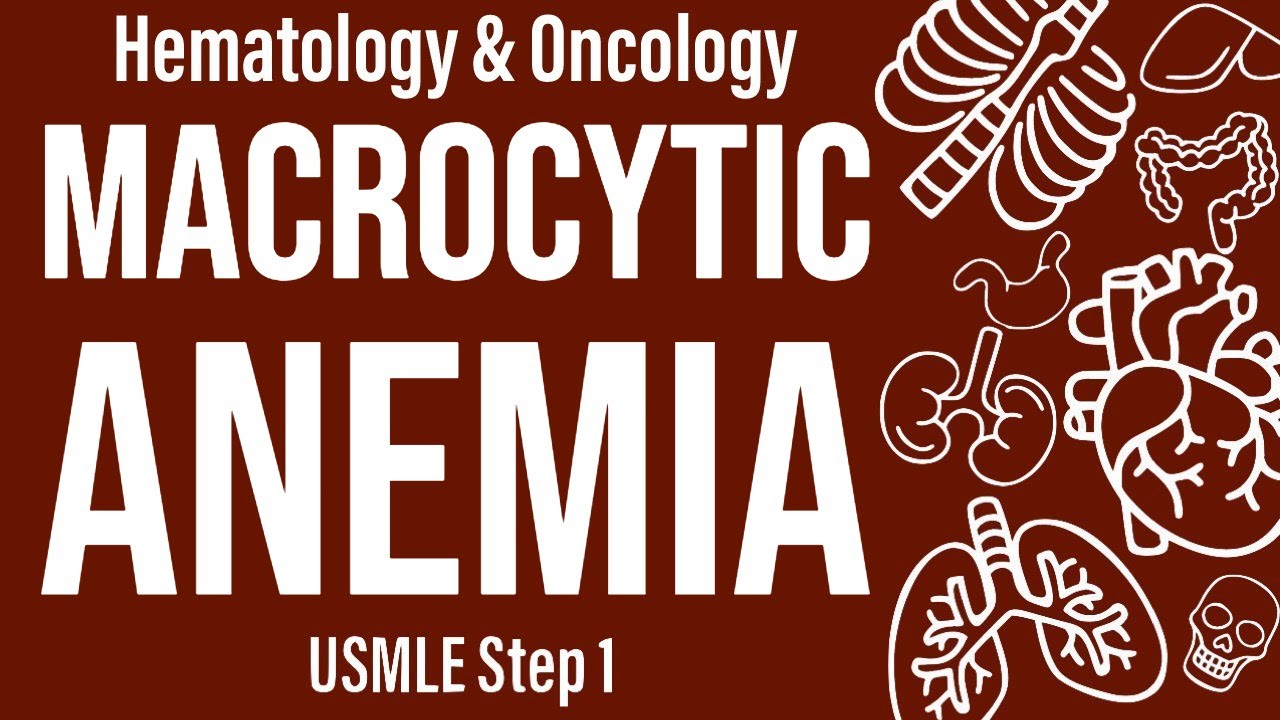 Introduction to Macrocytic Anemia (Heme/Onc) - USMLE Step 1 - YouTube