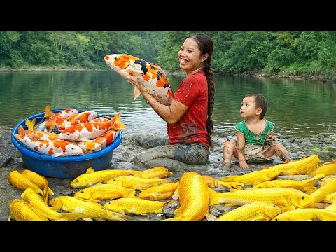 Harvesting Giant Fish in the Mud During the Rainy Season - Cooking Fresh Fish with a Single Mom