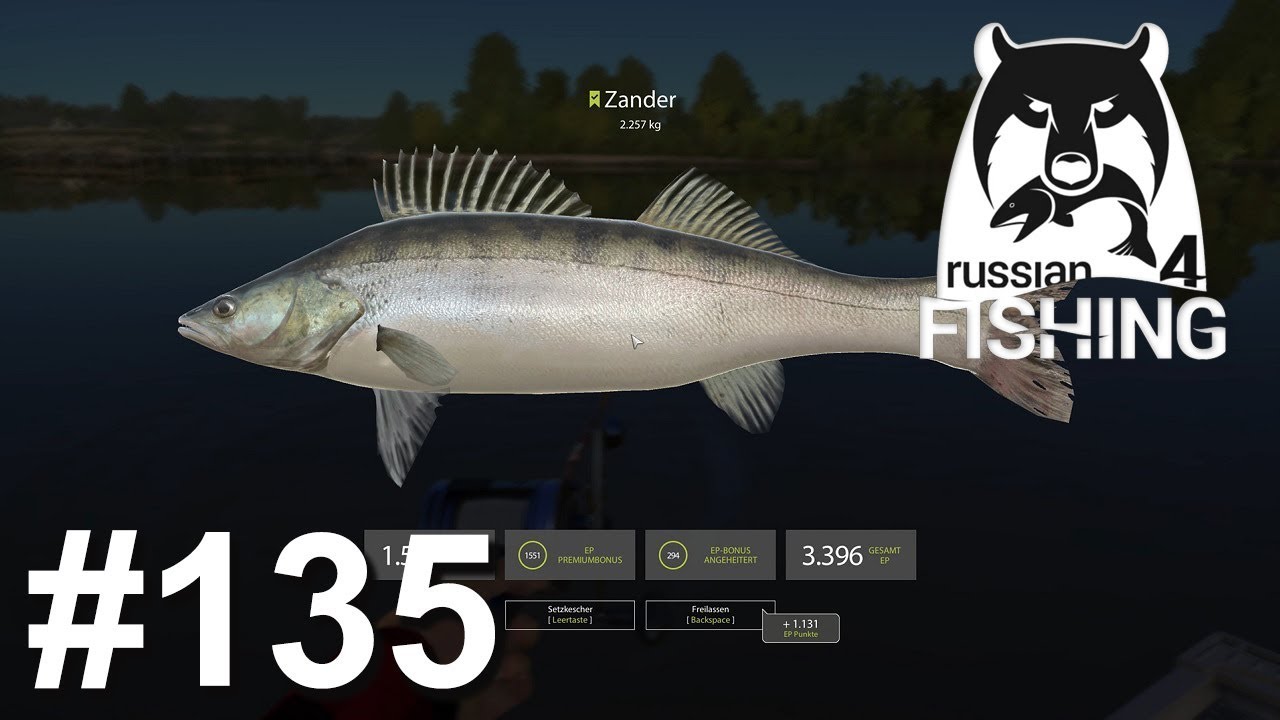 Auf Zander, Lachs und Rapfen am Großen Strom 🐋 | Russian Fishing 4 #135 ...