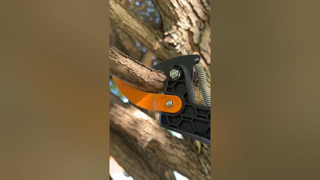 Телескопический сучкорез о компании Fiskars в действии😎👍 - YouTube