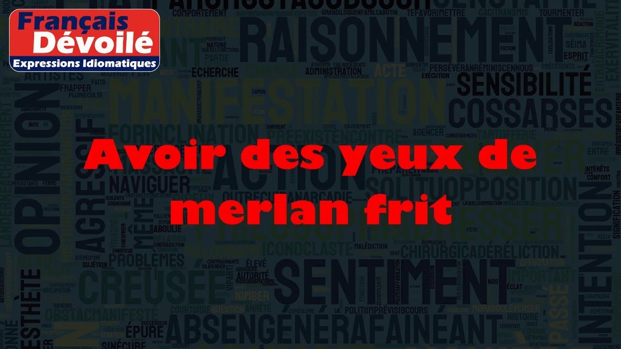 Avoir des yeux de merlan frit - YouTube