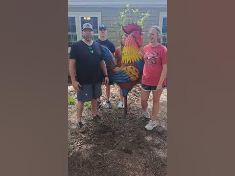 Chicken Class Review by Kody and Leslie - YouTube