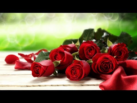 İsmail ŞAHİN - Bekliyorum